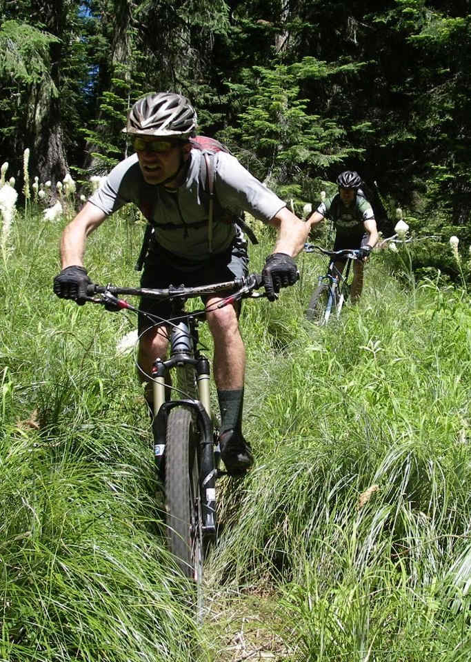 Old Santiam Wagon Road - McKenzie River Out and Back | CM Maps Routes ...